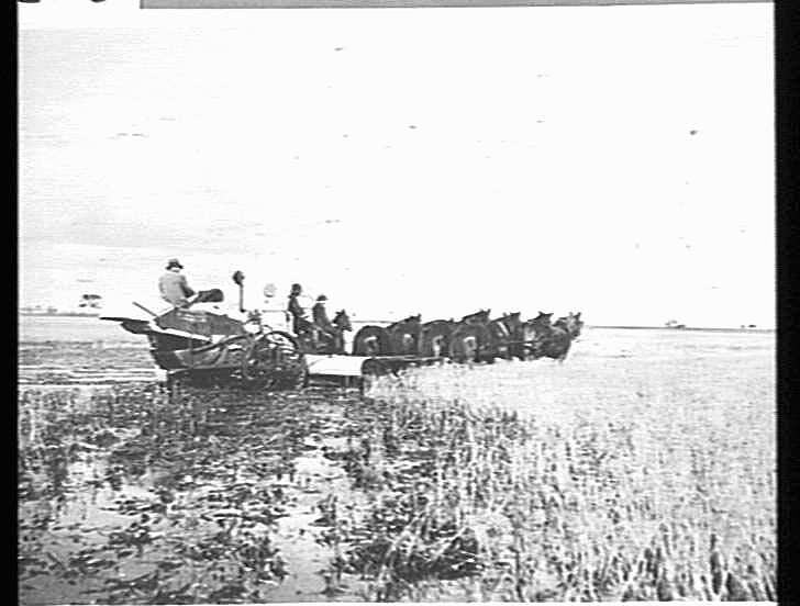 Photograph - H.V. McKay Massey Harris, Farm Equipment Manufacture ...