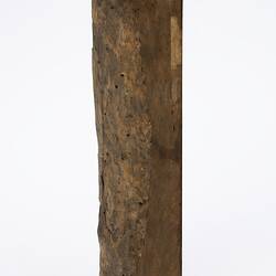 Timber Sample - Atalaya varifolia (Sapindaceae), Queensland, 1880-1900