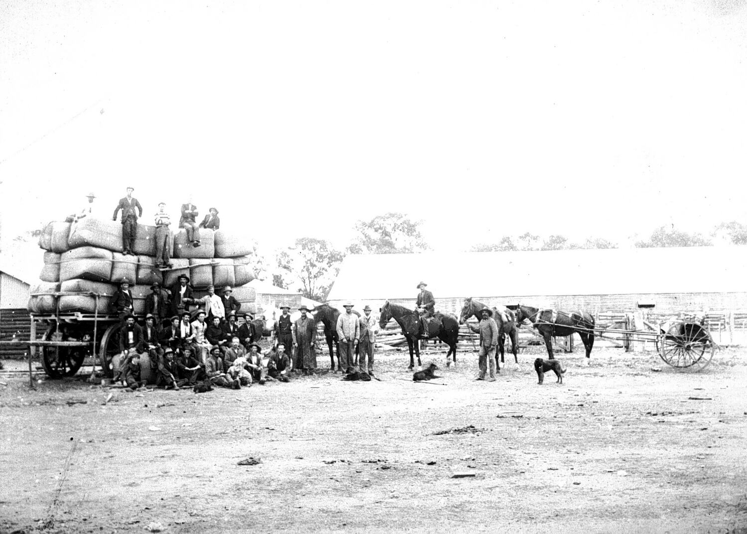 Negative - Cobar District, New South Wales, circa 1900