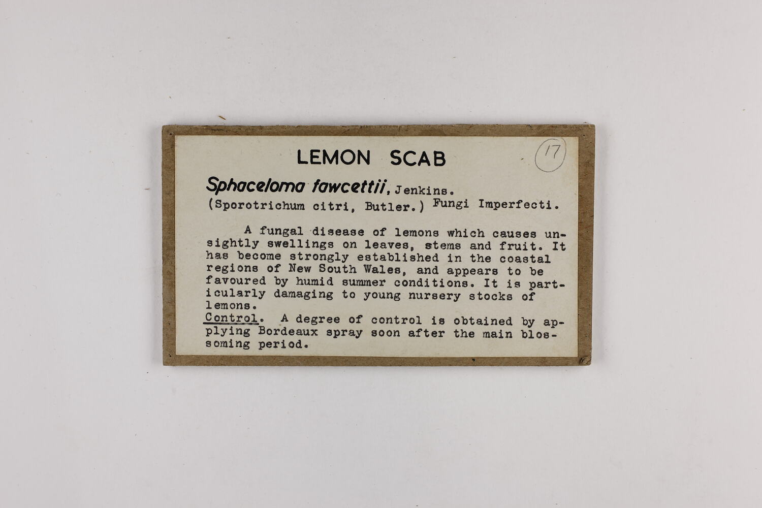 Exhibition Label - Lemon Scab, Museum of Applied Science, Melbourne ...