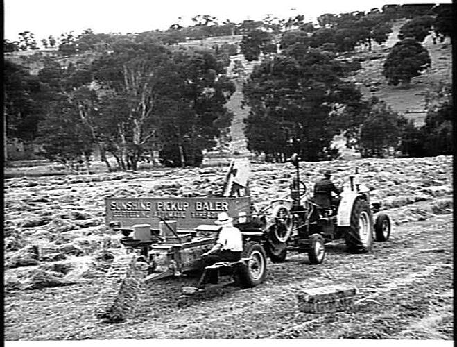 Photograph - H.V. McKay Massey Harris, Farm Equipment Manufacture ...