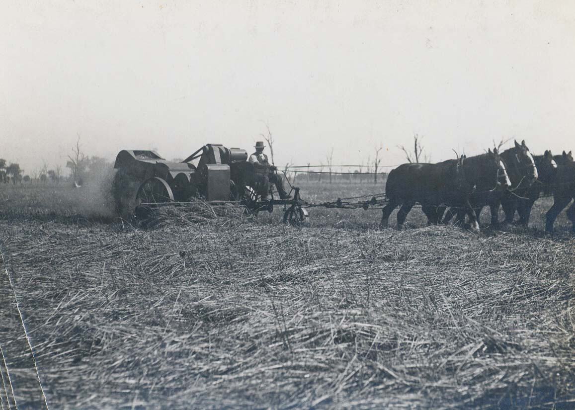 Photograph - McKay Massey Harris, H.S. Taylor Sunshine Header Harvester ...