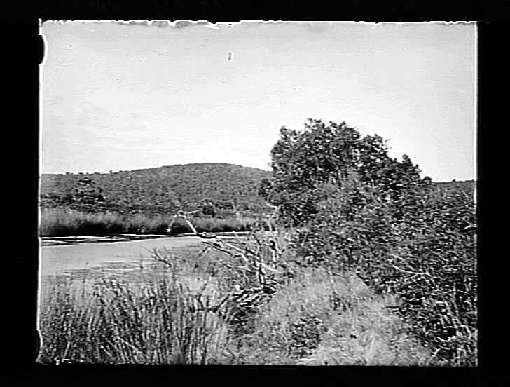 Glass Negative - Landscape, by Hugh Conran, Australia, circa 1910s