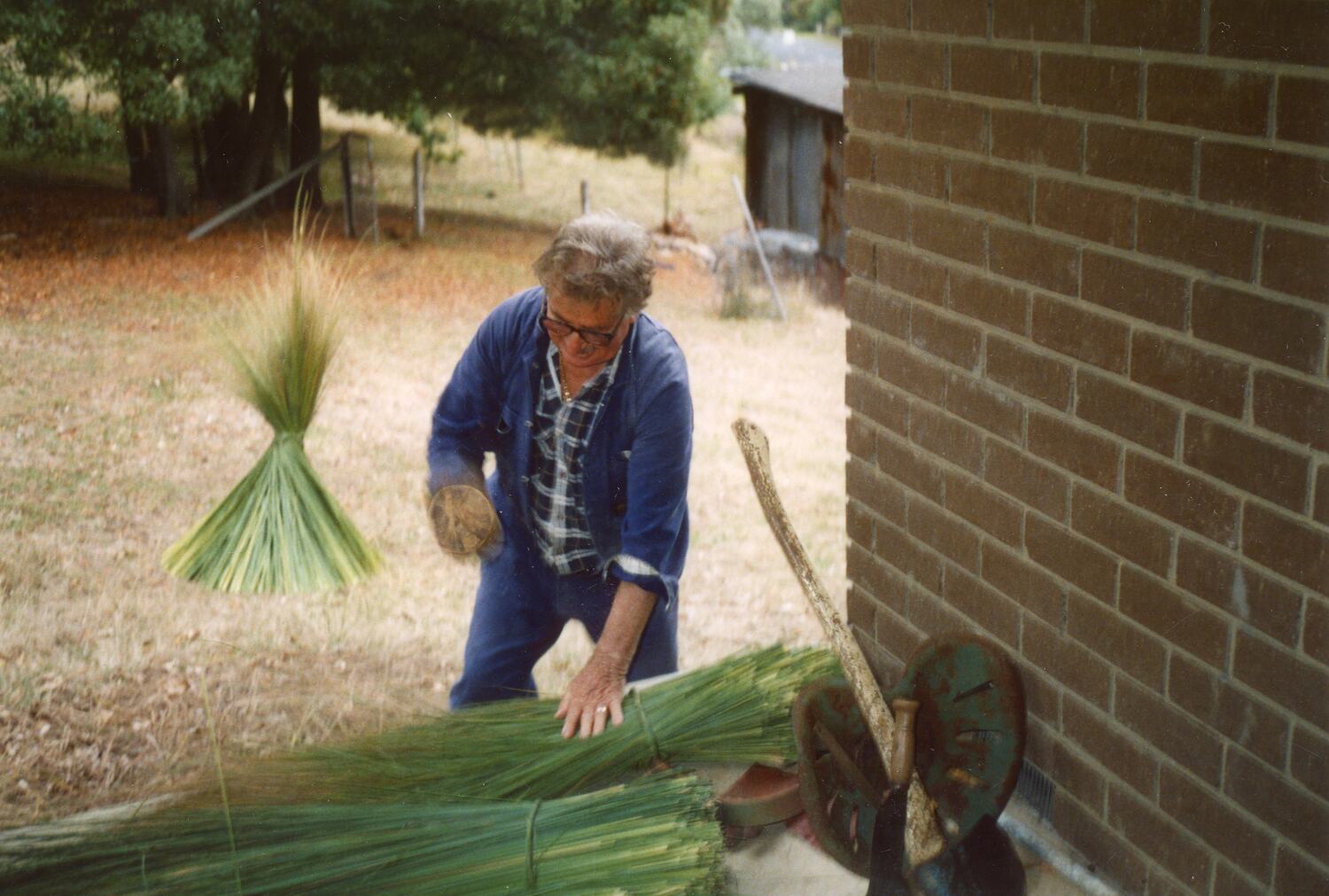 Digital Photograph - Giovanni D'Aprano Flattening 'Strame' (Reeds ...