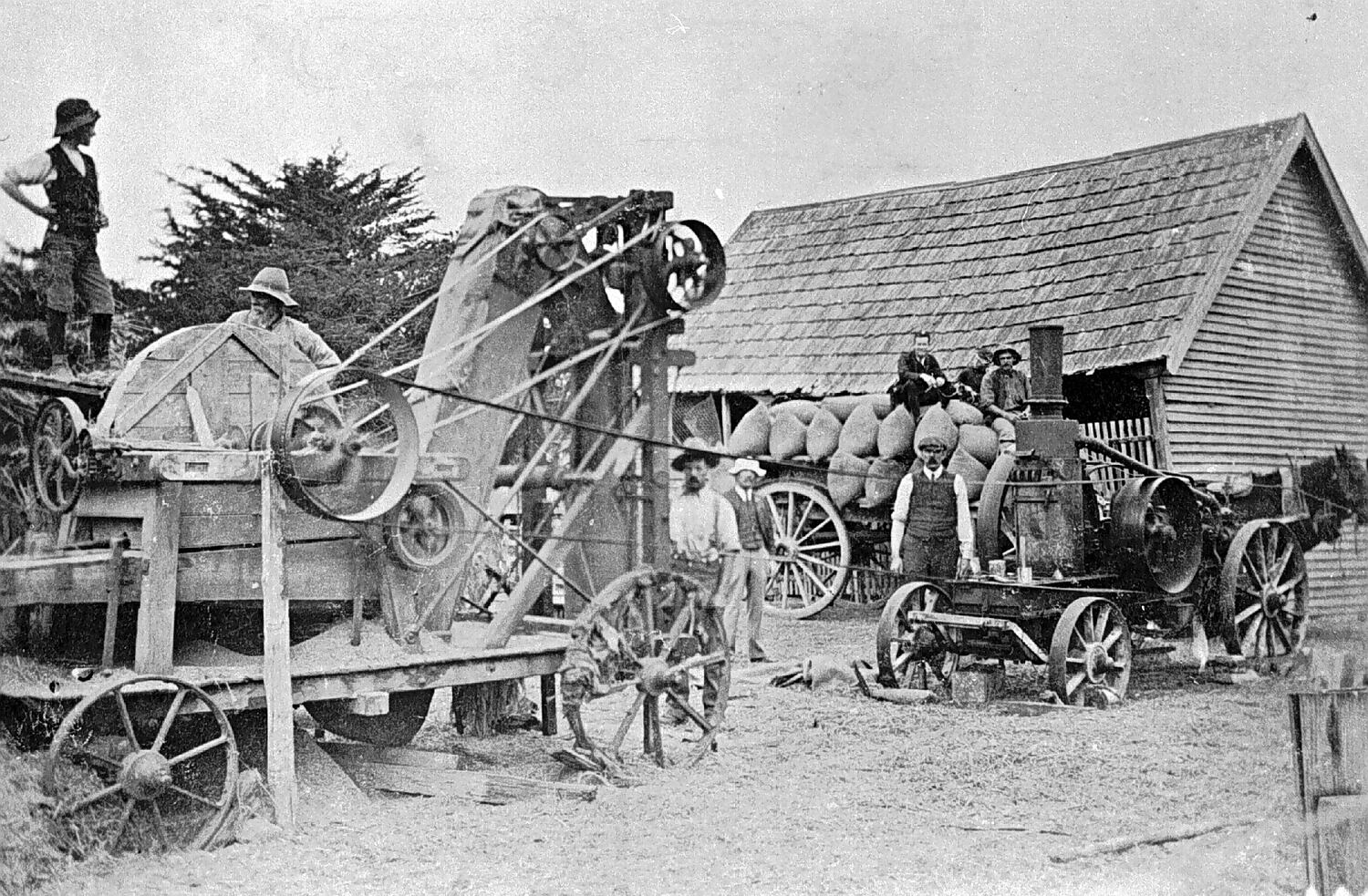 Negative - Hornsby Oil Engine & Chaff Cutter, 'Amphitheatre' Station ...