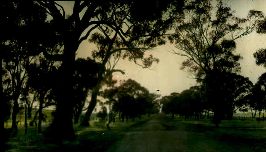 Lantern Slide - Toolern Vale, Victoria, Date Unknown