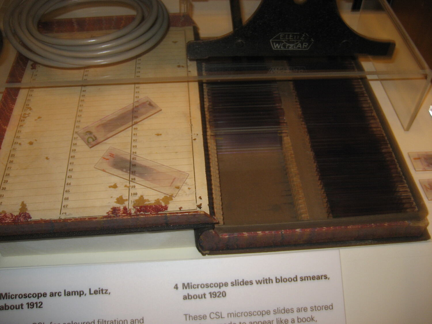 Microscope Slides - Blood Smears, circa 1920