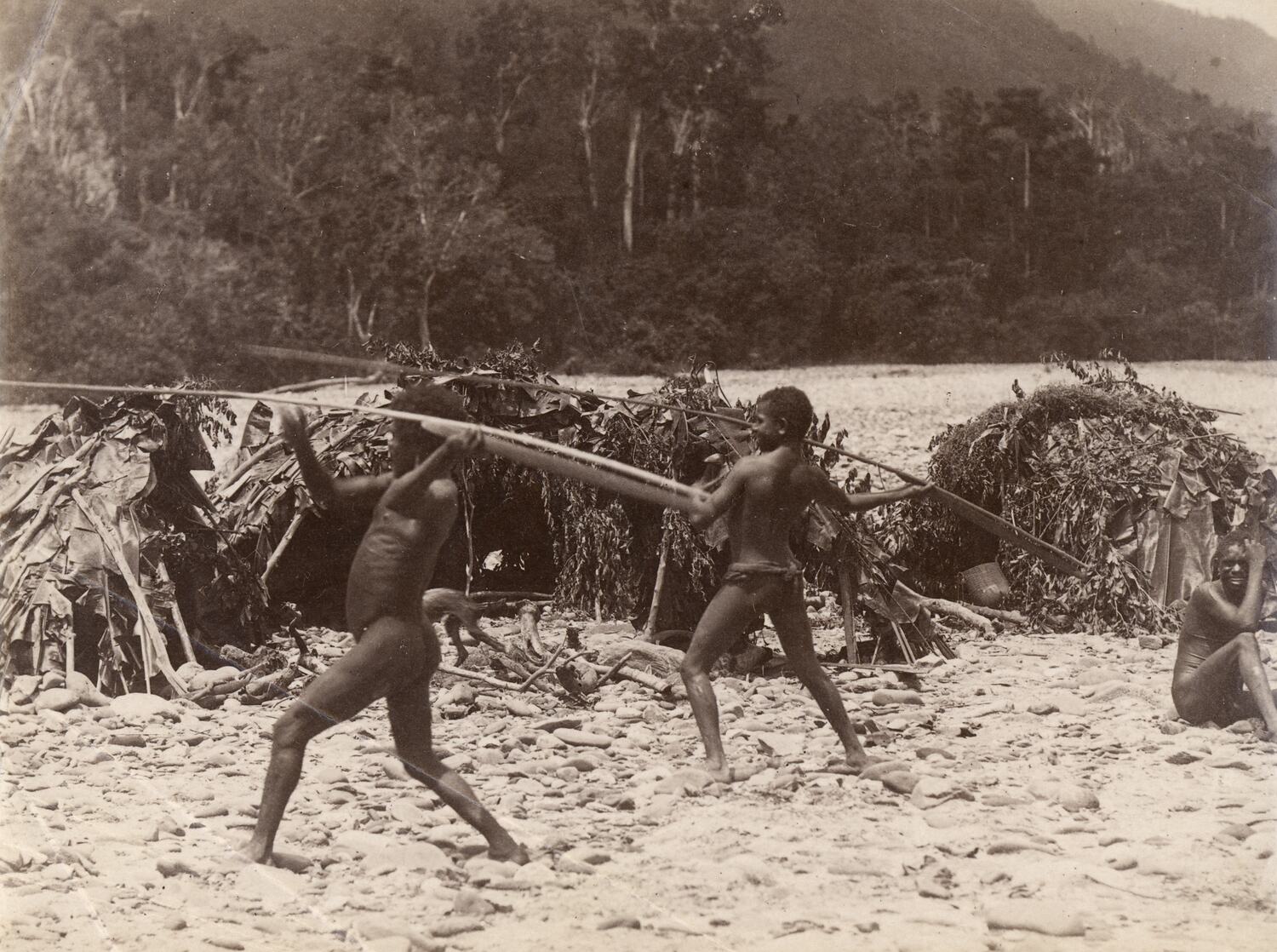 Photograph. Cairns, Queensland, Australia. c.1890