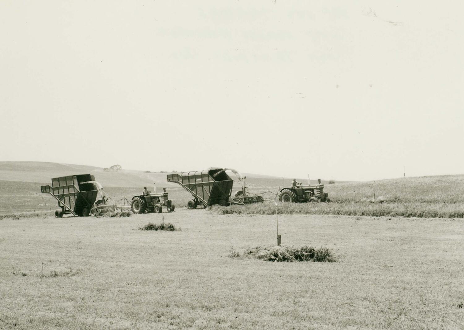 Photograph - Massey Ferguson, Forager & Tractor, circa 1970