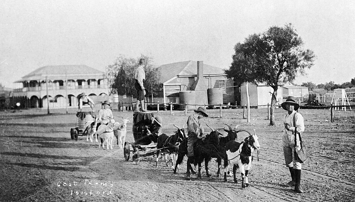 Negative - 'Goat Teams', Isisford, Queensland, circa 1915