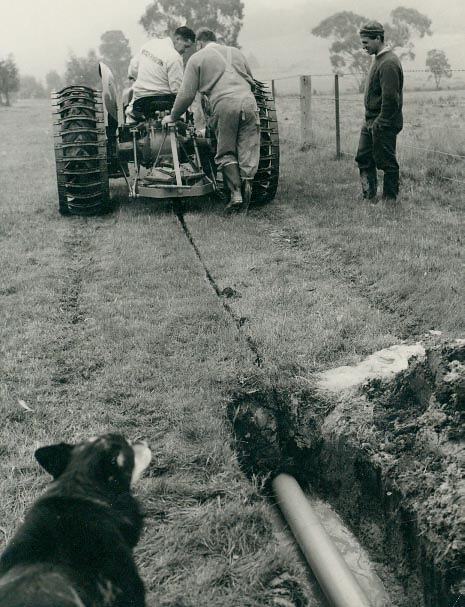Photograph - Massey Ferguson, MF35 tractor Pipe Laying, circa 1965
