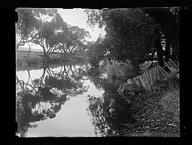 Glass Negative - Landscape, by Hugh Conran, Australia, circa 1910s