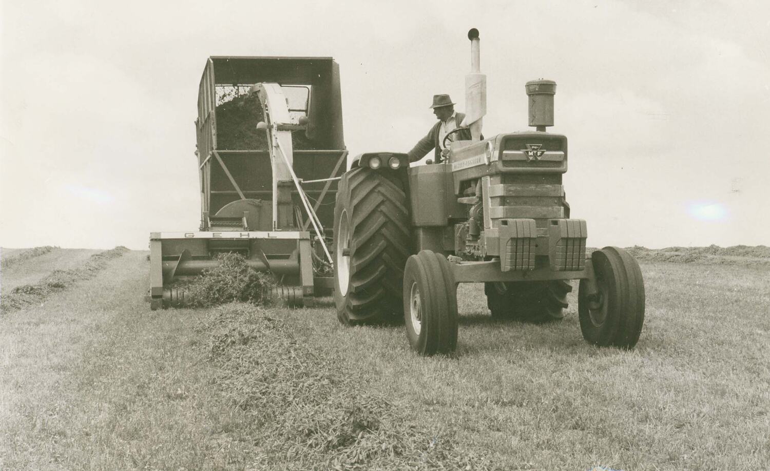 Photograph - Massey Ferguson, Forager & Tractor, circa 1970