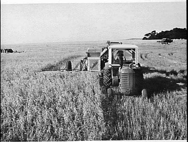 Photograph - H.V. McKay Massey Harris, Farm Equipment Manufacture ...