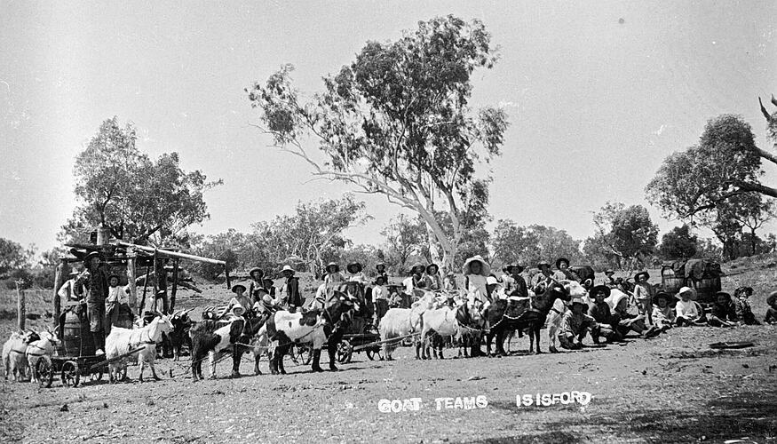 Negative - 'Goat Teams', Isisford, Queensland, circa 1915
