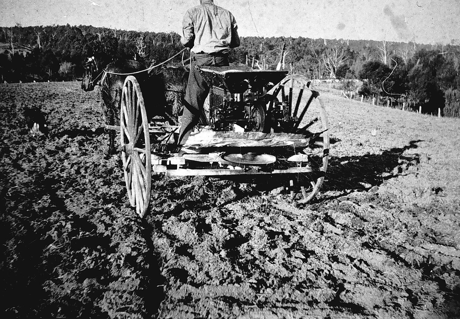 Negative - Nicholson, Victoria, circa 1930