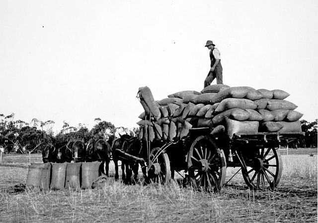 Negative - Nyah West, Victoria, 1932