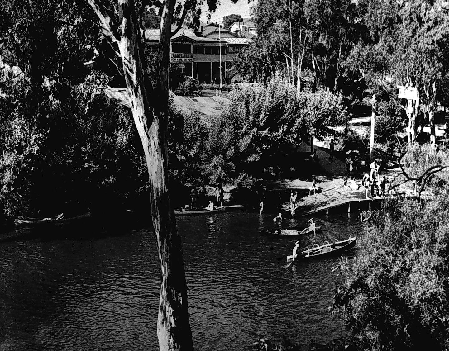 Negative - Fairfield, Victoria, 1950