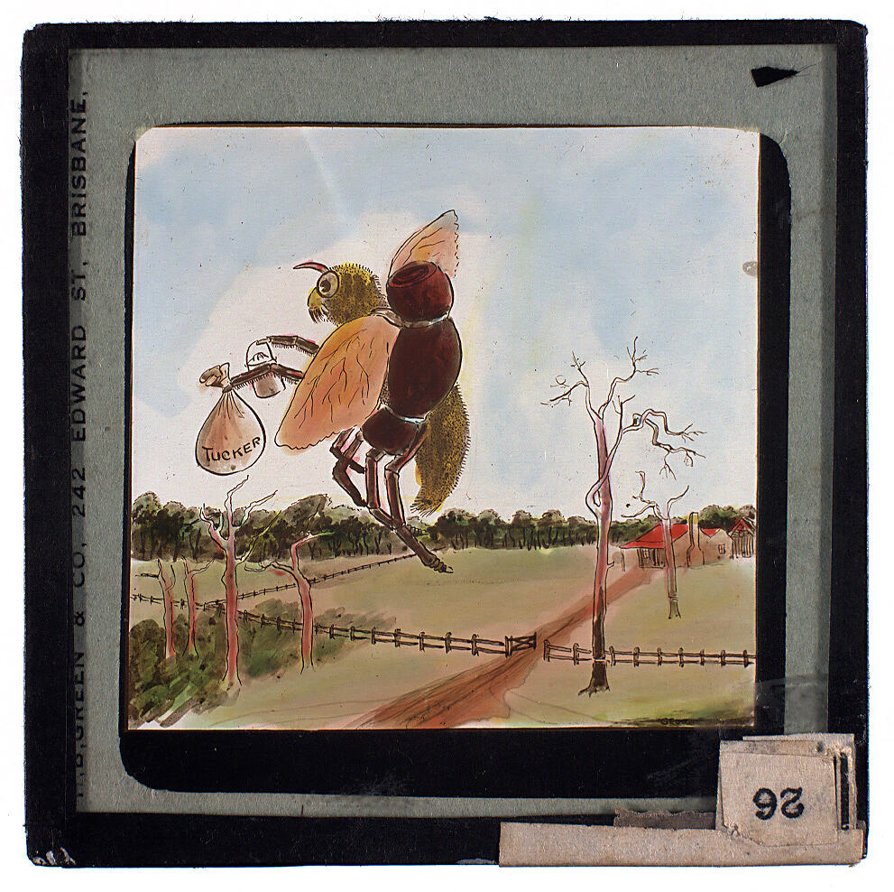 Lantern Slide - Insect with Swag, circa 1930s-1940s