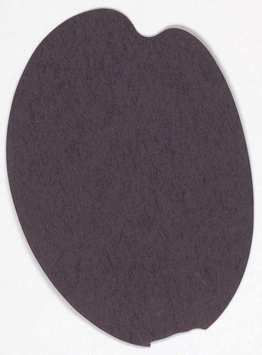 Negative Vignette - Oval, circa 1900