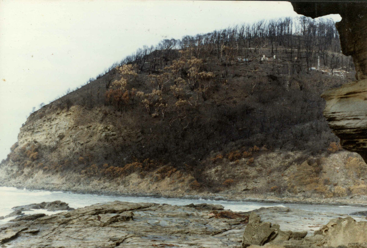 Digital Image - Destroyed Home on Lorne Cliffs, Bushfire Beach Survey ...