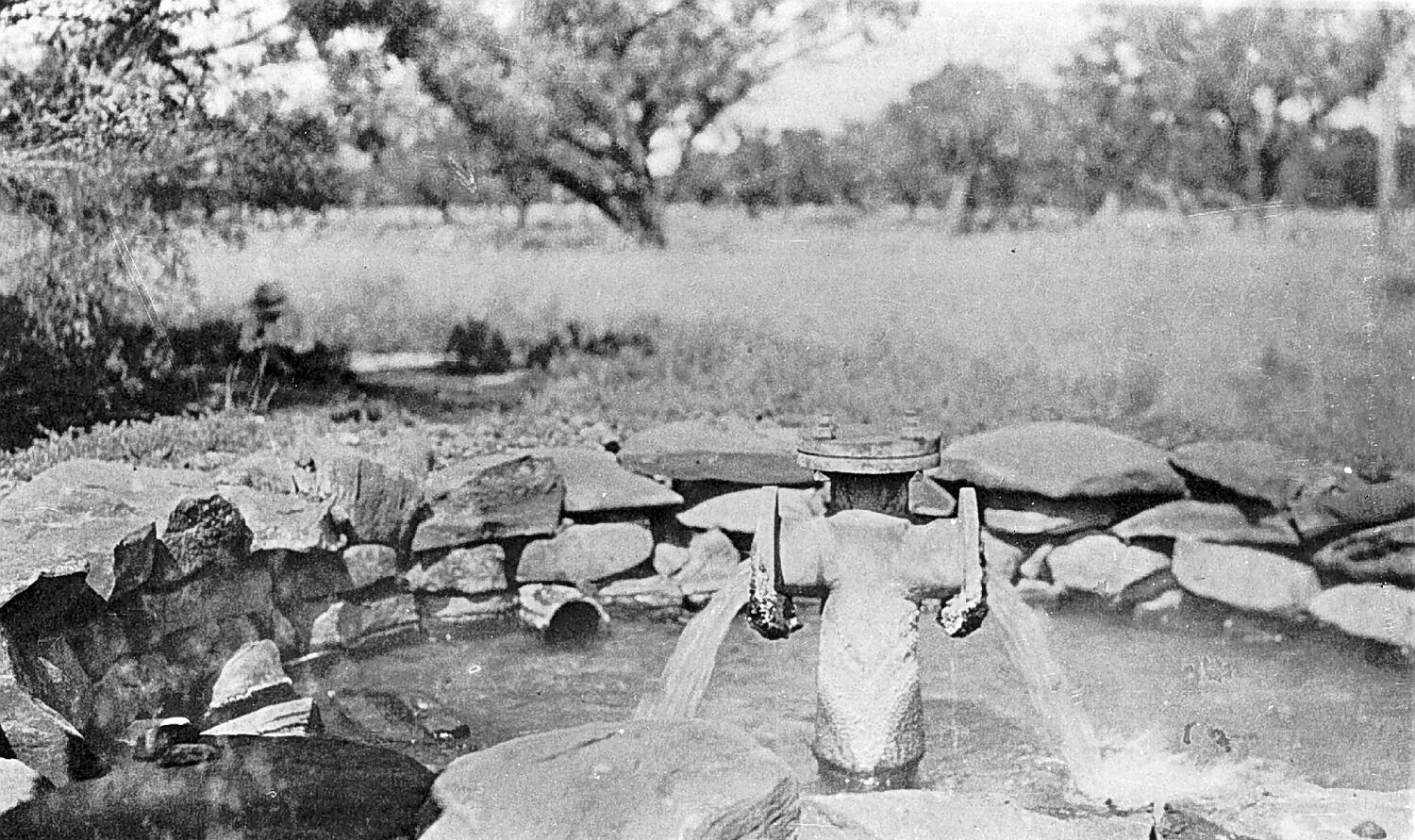 Negative - Bore Outlet on 'Portland Downs' Station, Isisford District ...