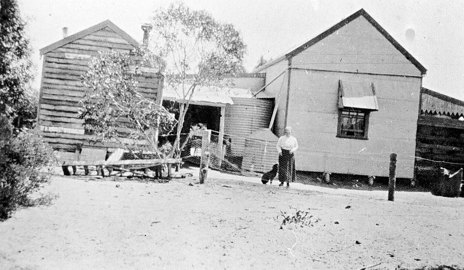 Negative - Nandaly District, Victoria, by Bill Boyd, 1920