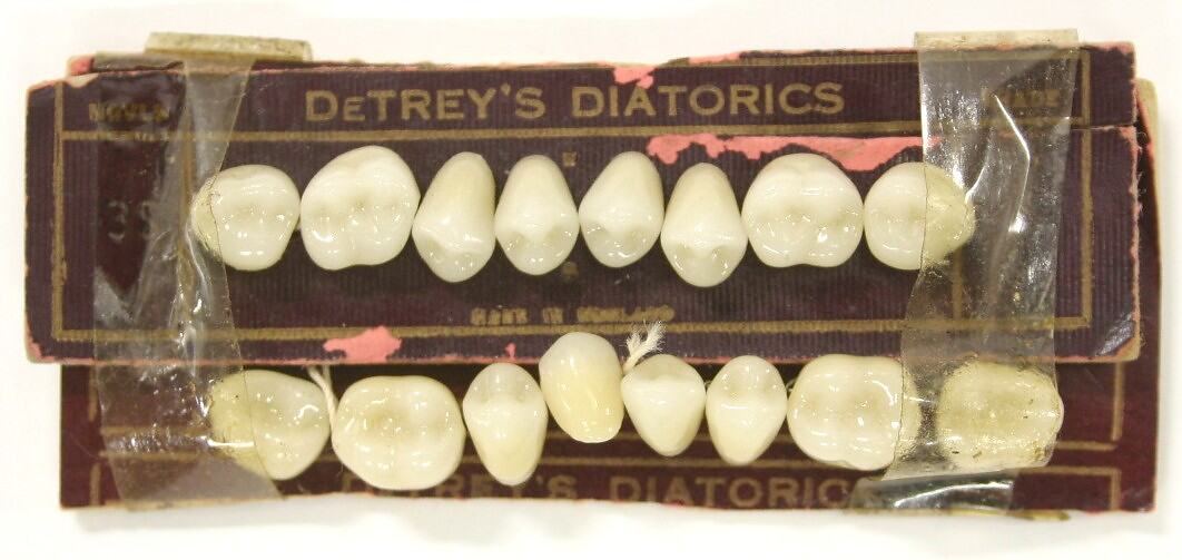 Artificial Teeth - Porcelain Cuspid & Molar, DeTrey's Diatorics, circa 1925