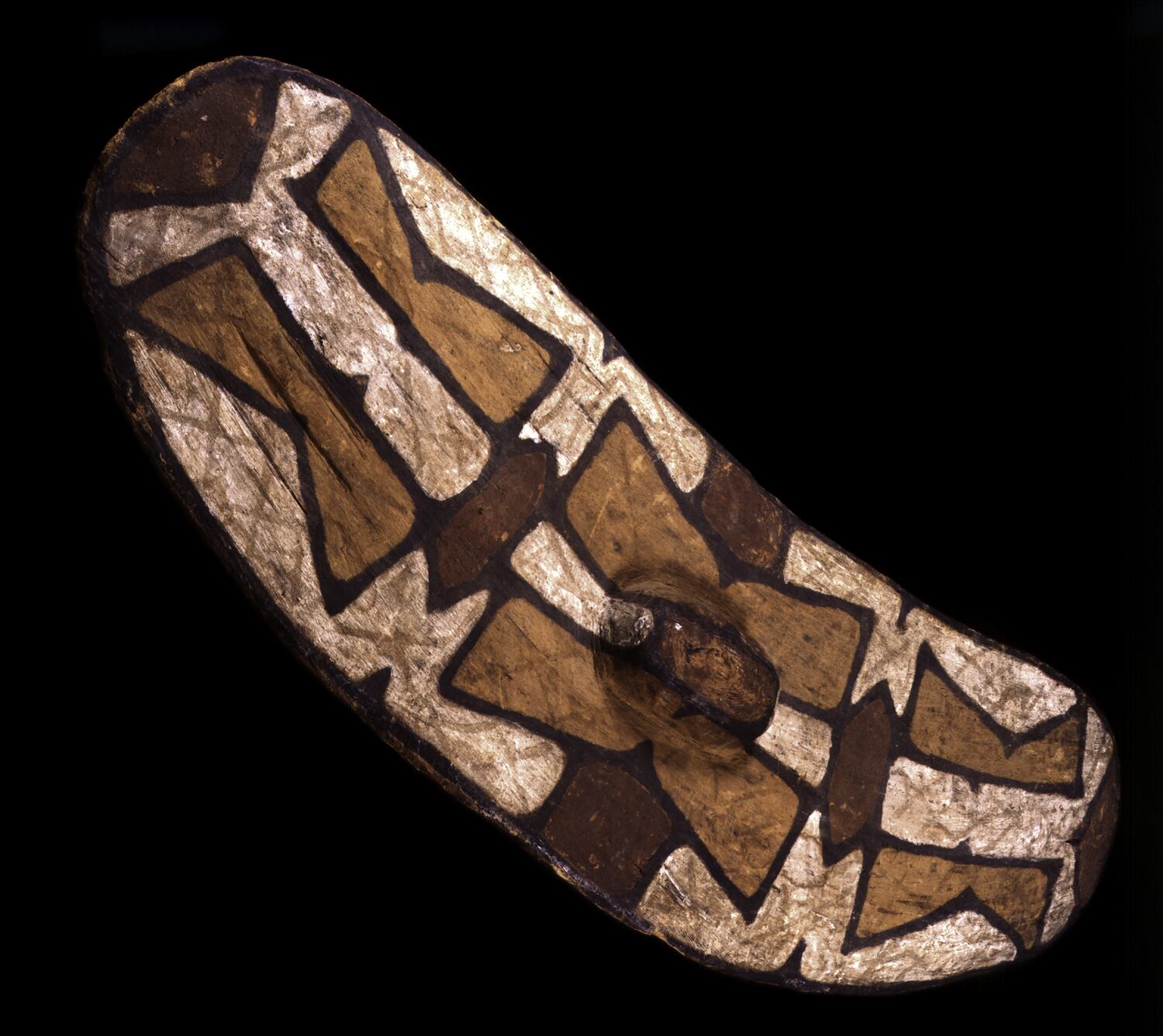 Shield. Rainforest, Queensland, Australia. 1870 - 1900