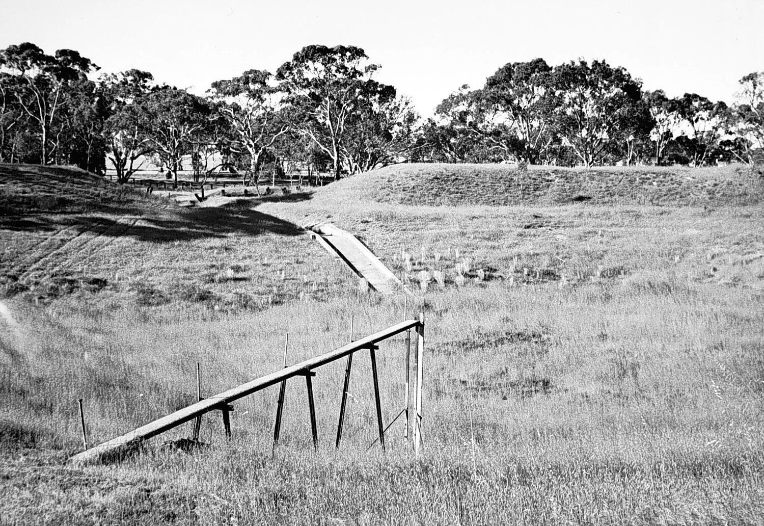Negative - Bordertown, South Australia, circa 1935