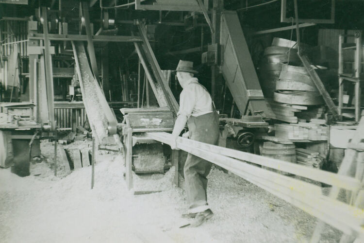 Photograph - Daniel Harvey Pty Ltd, Sawmill Worker, Victoria, 1950