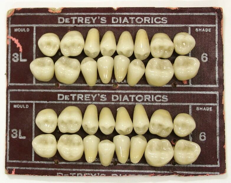 Artificial Teeth - Porcelain Cuspid & Molar, DeTrey's Diatorics, circa 1925