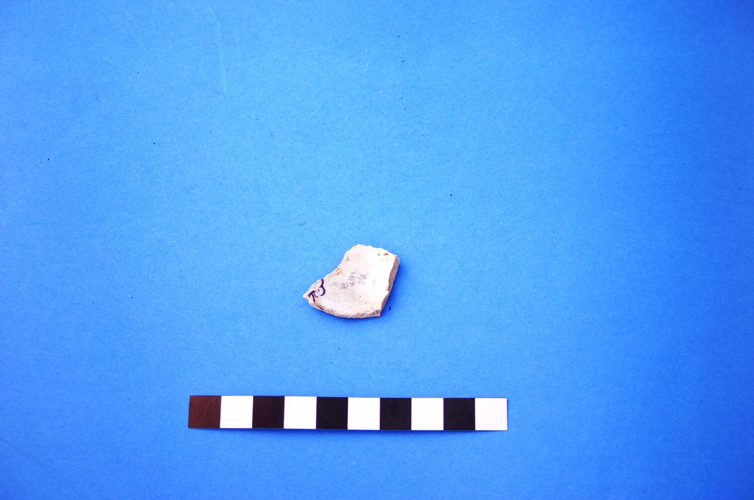 Sherd - Ceramic, circa 1805-circa mid-20th century