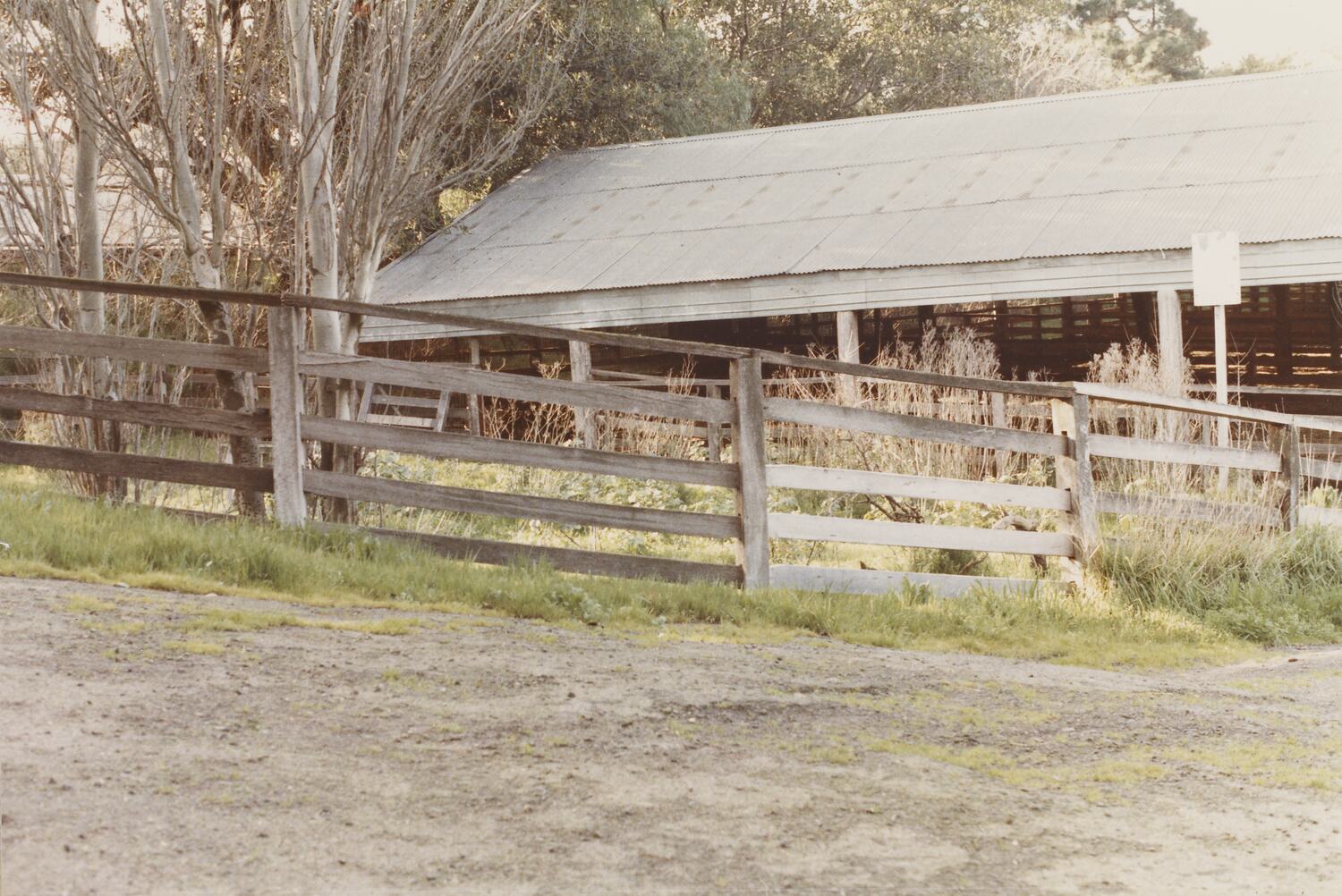 Digital Photograph - City Pound Area, Newmarket Saleyards, Newmarket ...