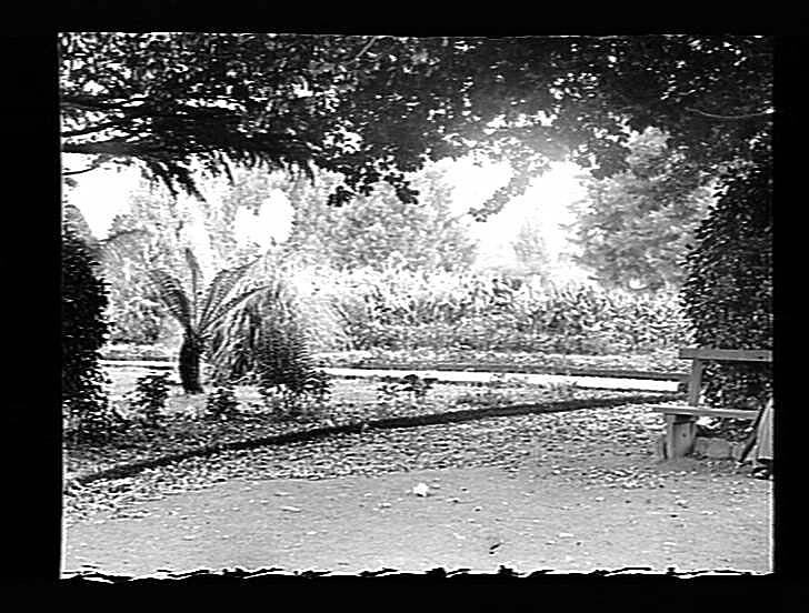 Glass Negative - Landscape, by Hugh Conran, Australia, circa 1910s