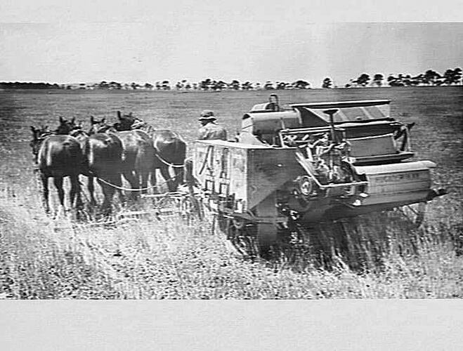 Photograph - H.V. McKay Pty Ltd, Farm Equipment Manufacture & Field ...