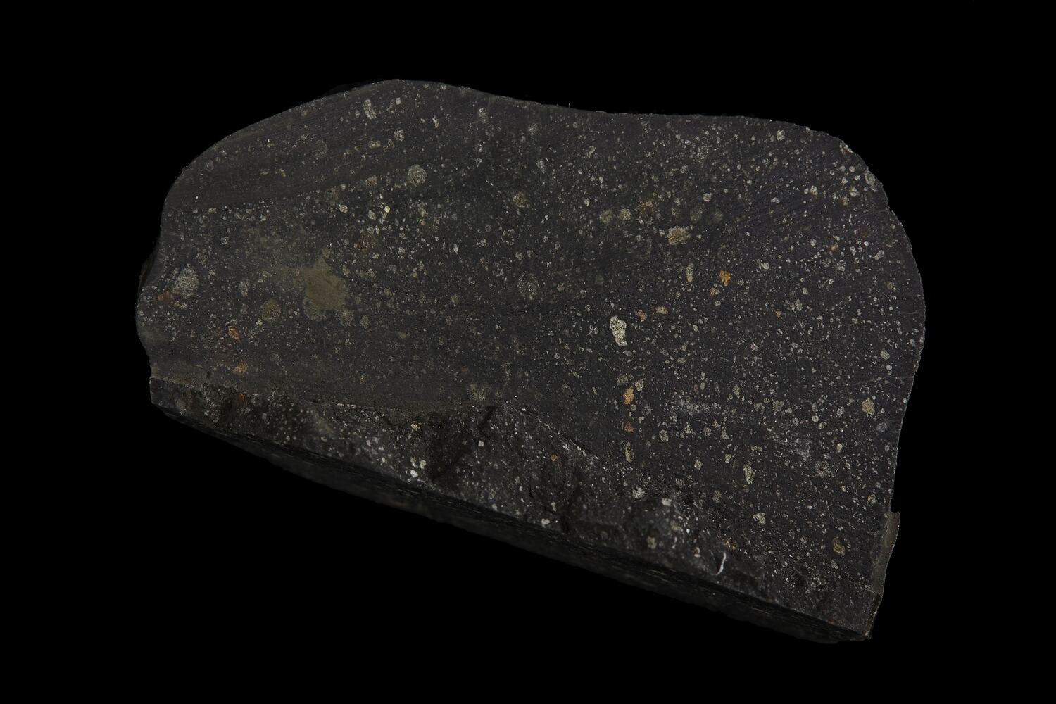Murchison meteorite