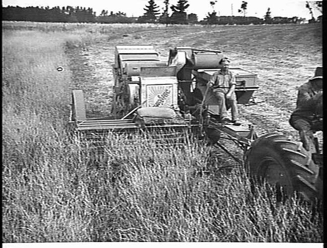 Photograph - H.V. McKay Massey Harris, Farm Equipment Manufacture ...