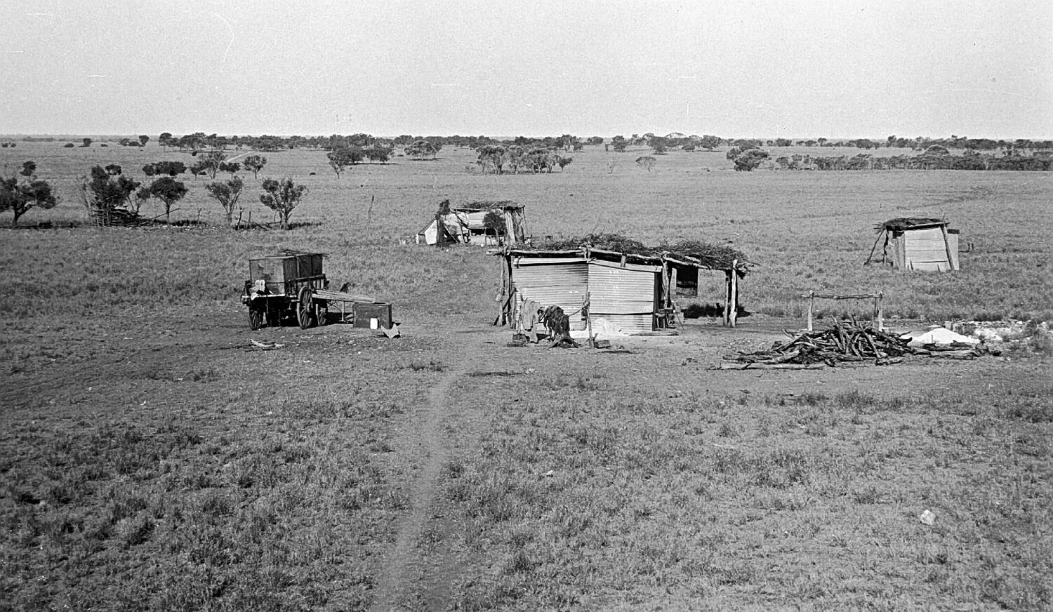 Negative - Outbuildings on the 'Portland Downs' Station, Isisford ...