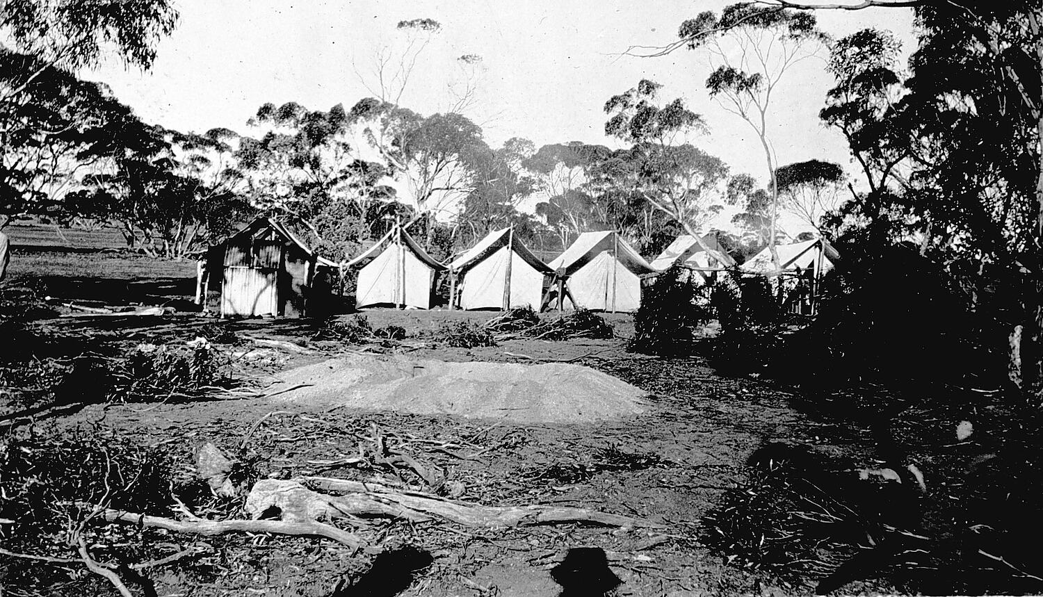 Negative - Millewa District, Victoria, circa 1920