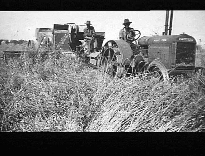 Photograph - H.V. McKay Massey Harris, Farm Equipment Manufacture ...