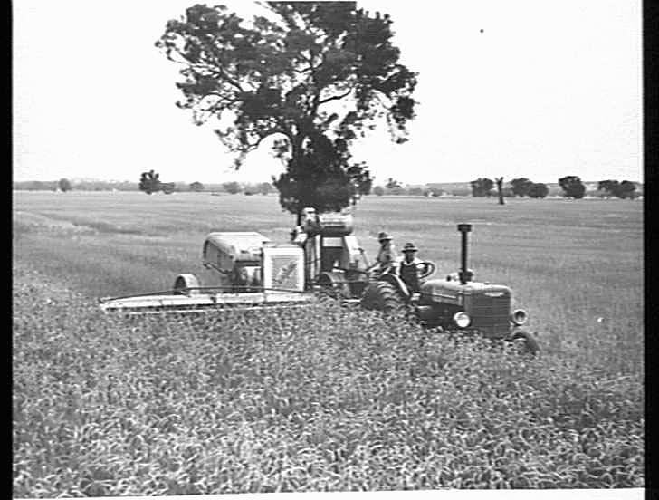 Photograph - H.V. McKay Massey Harris, Farm Equipment Manufacture ...