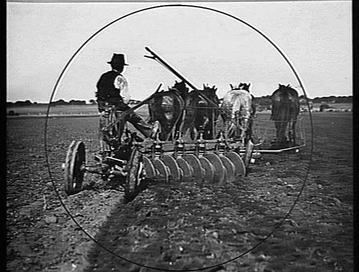 Photograph - H.V. McKay Pty Ltd, Horse-Drawn Sundercut Stump Jump Disc ...