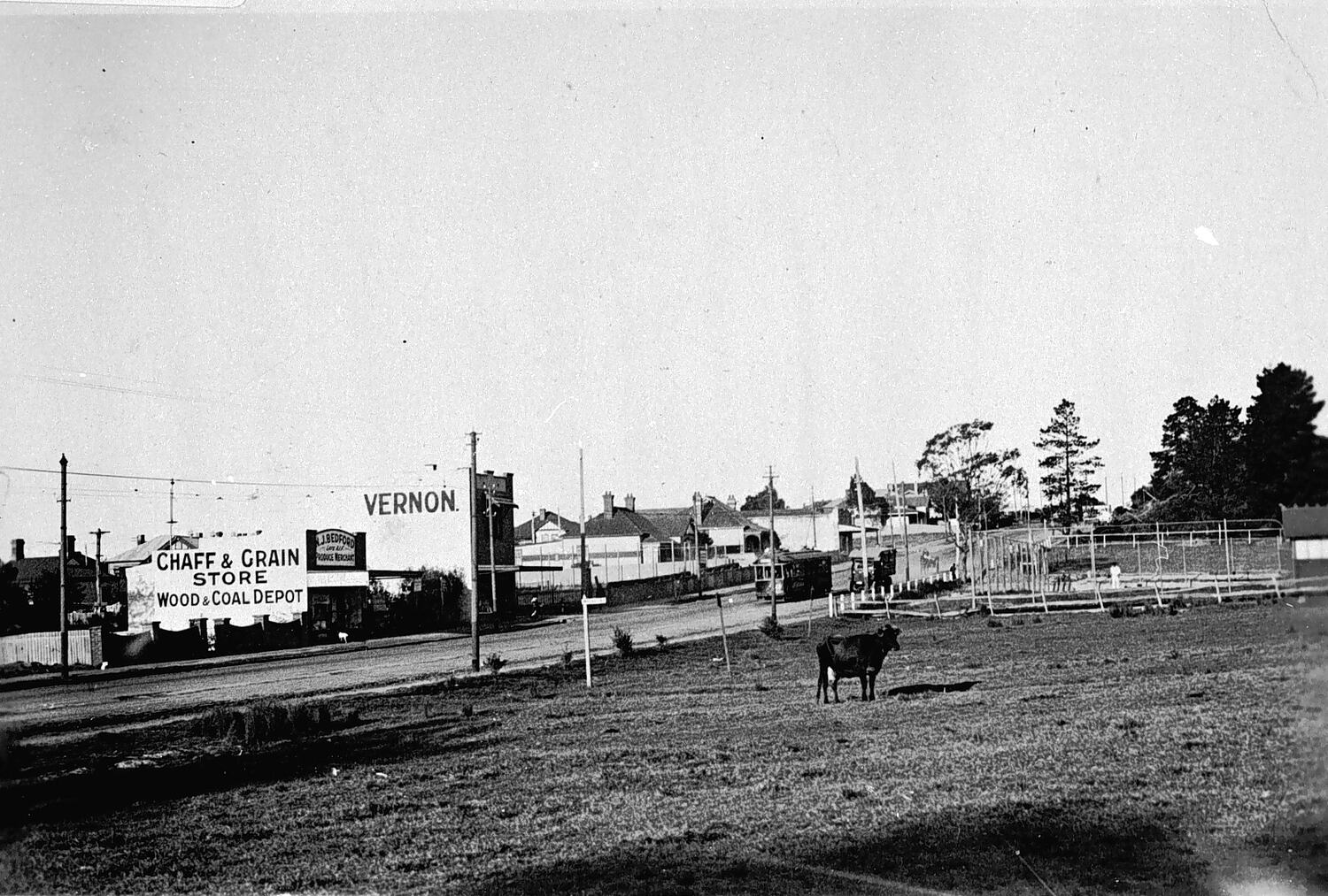 Negative - Deepdene, Victoria, circa 1925