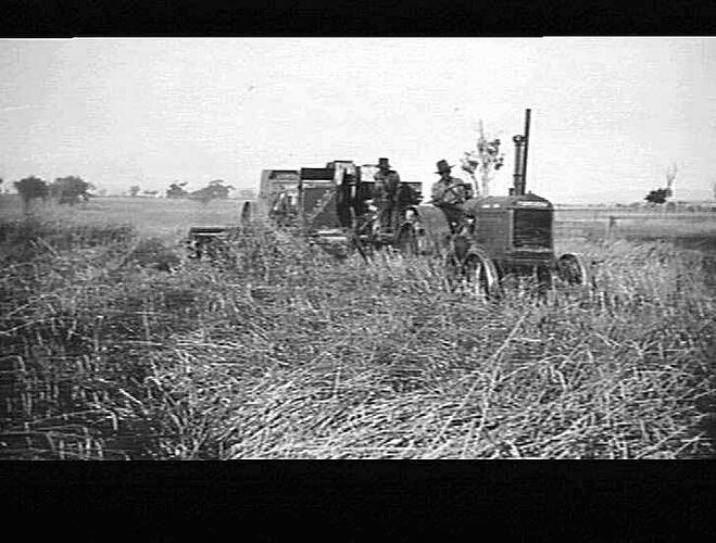 Photograph - H.V. McKay Massey Harris, Farm Equipment Manufacture ...