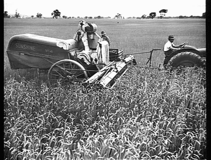 Photograph - H.V. McKay Massey Harris, Farm Equipment Manufacture ...