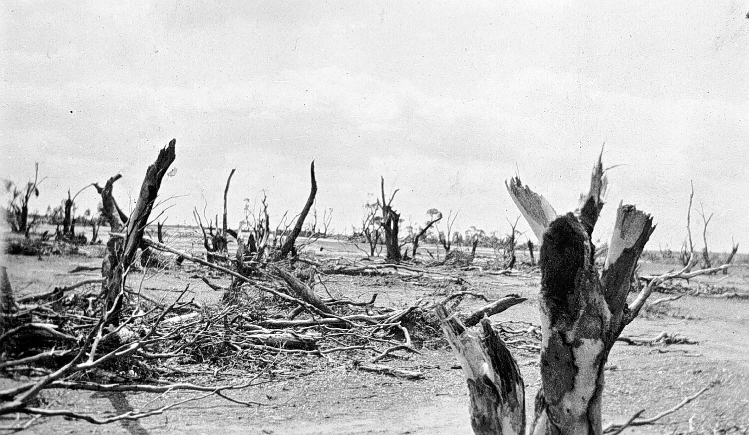 Negative - Manangatang, Victoria, 1934