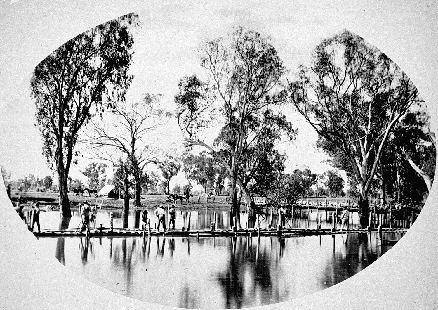 Negative - Edward River, New South Wales, 1878
