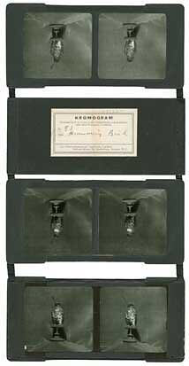 Set of Glass Slides - Kromskop Viewer Set, Kromogram, Hummingbird ...