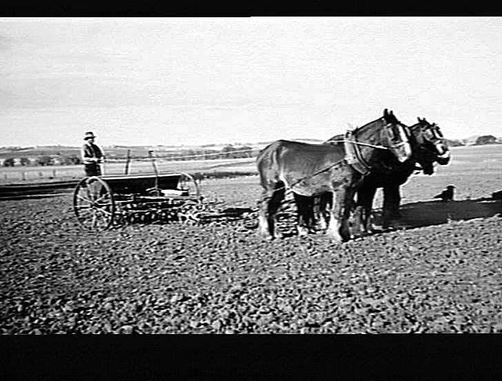 Photograph - Sunshine Harvester Works, Farm Equipment Manufacture ...
